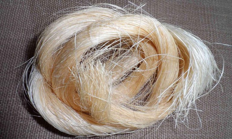Abaca – International Natural Fiber Organization